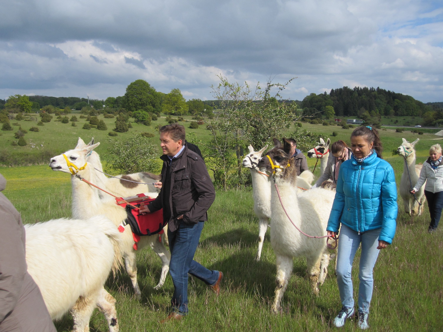 Teamgeist - Planung Engineering Nick
